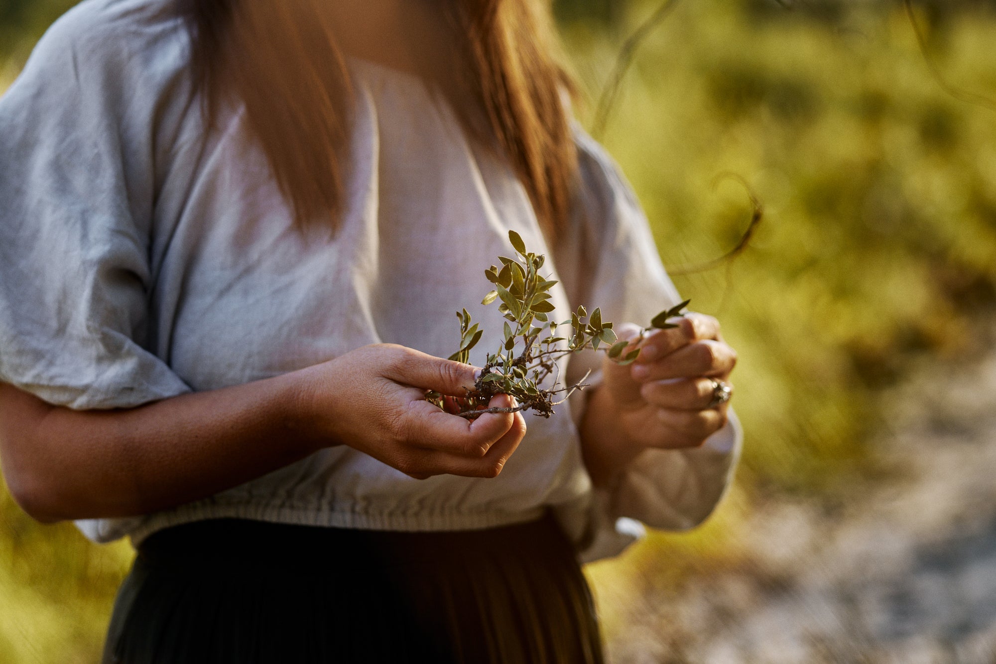 Our Story – Ochre Sun